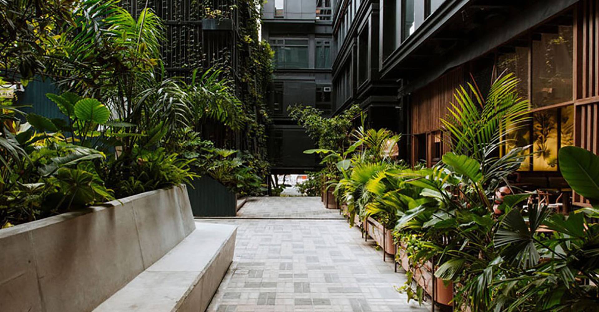 Contacto Click Clack Hotels en Colombia, Web Oficial